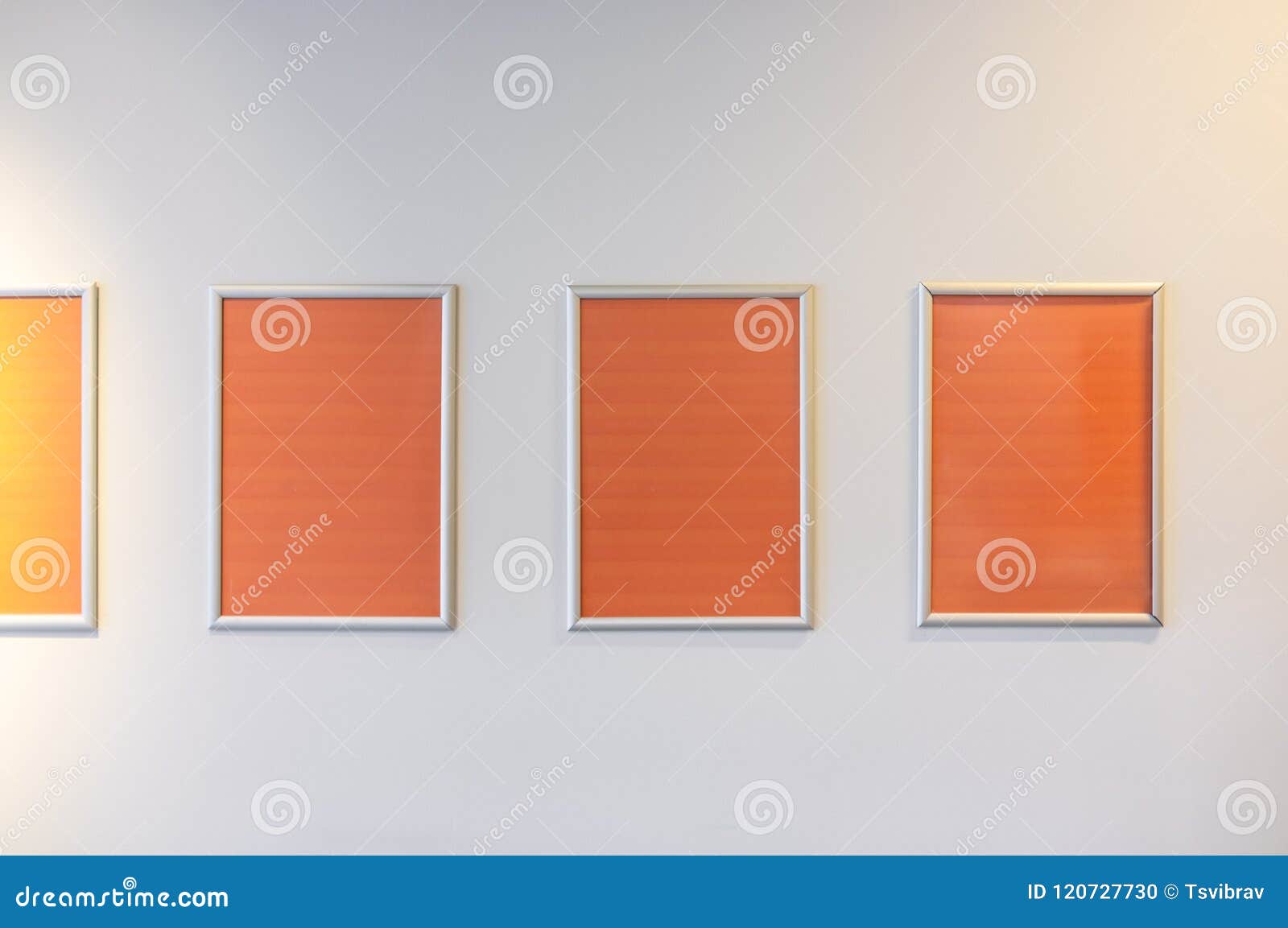 Row of Empty Vertical Picture Frames. Stock Photo - Image of simple ...