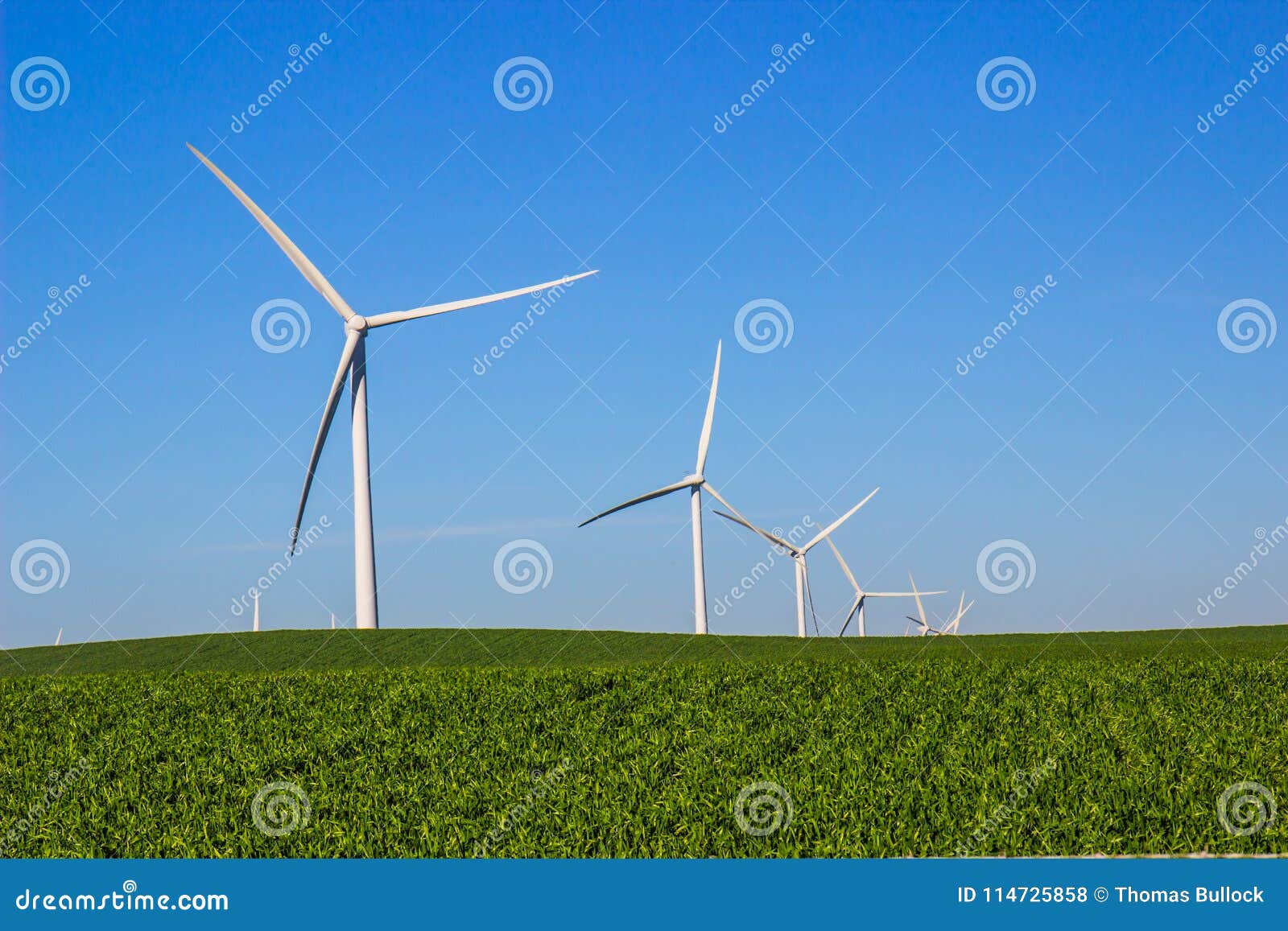 Green Field with Energy Producing Three Bladed Windmills Stock Photo ...