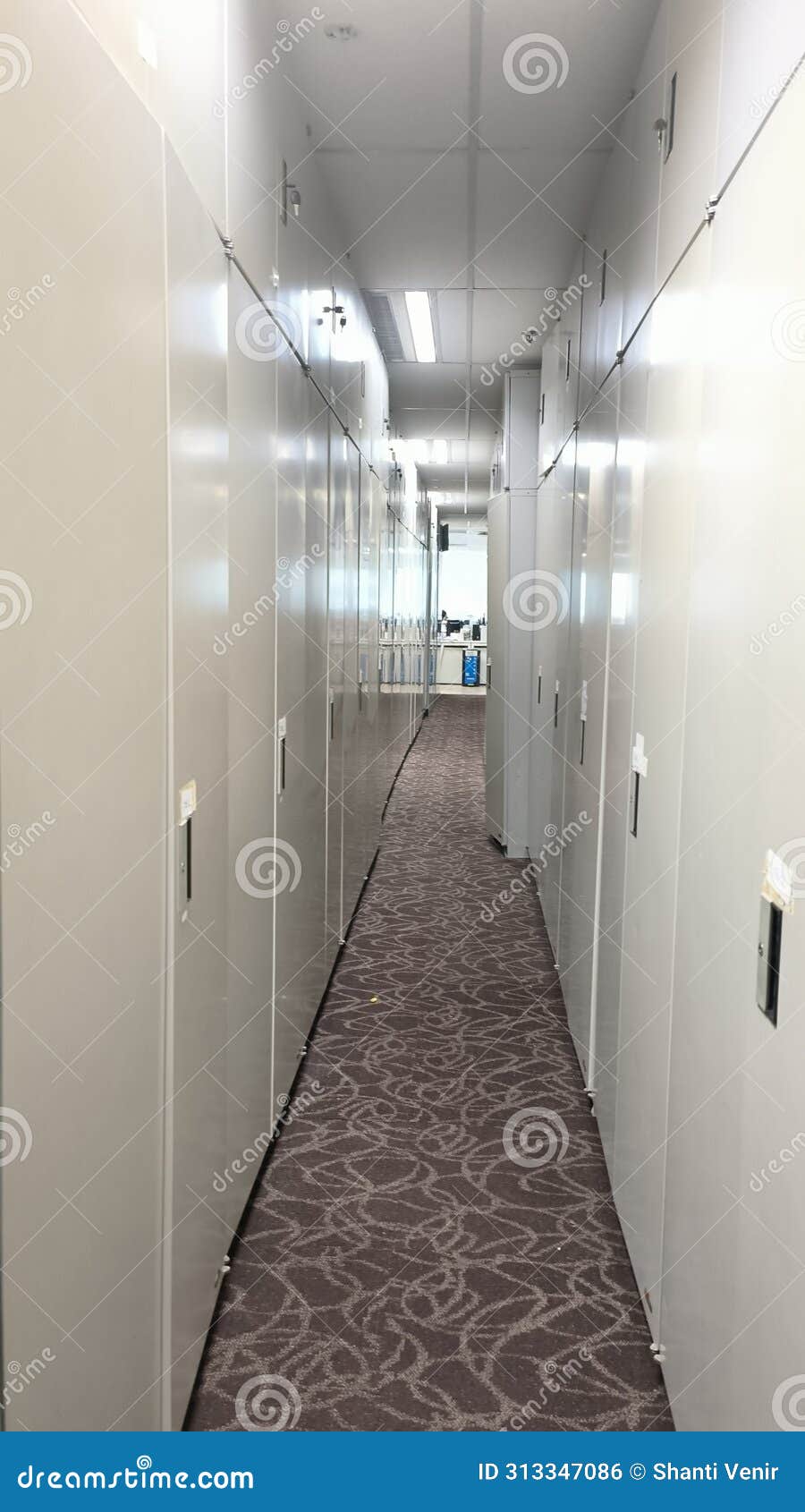 A Row of Filing Cabinets in the Office Stock Photo - Image of filing ...