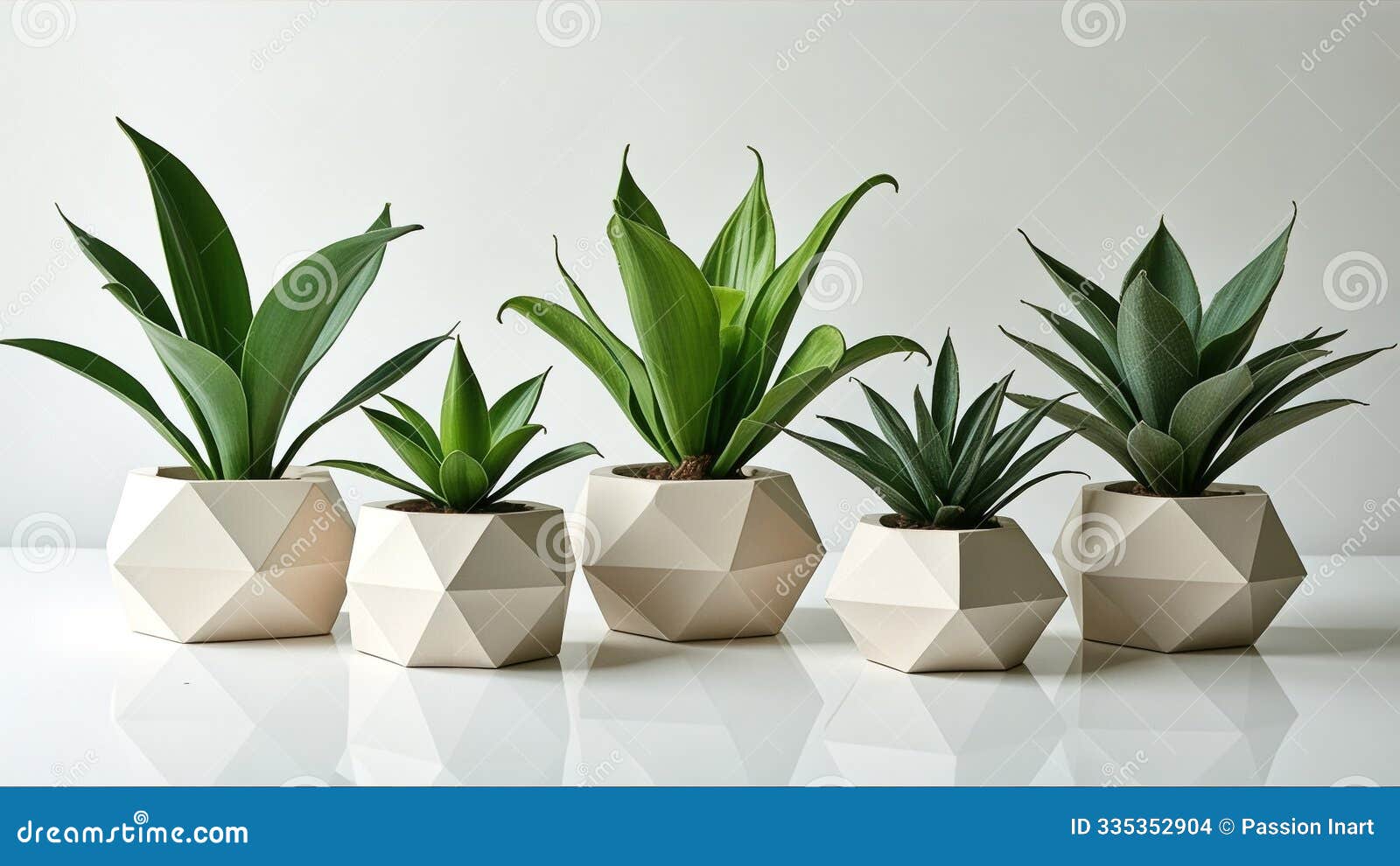 A Row of Five Potted Plants with Different Shapes and Sizes Stock ...