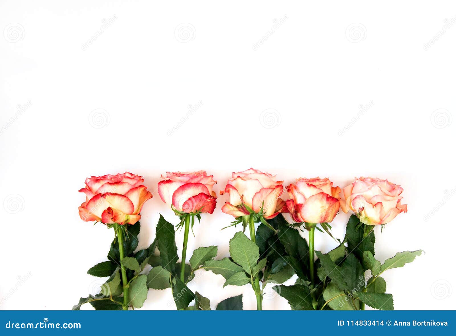 Five Roses Wedding Bouquets Royalty-Free Stock Photography ...