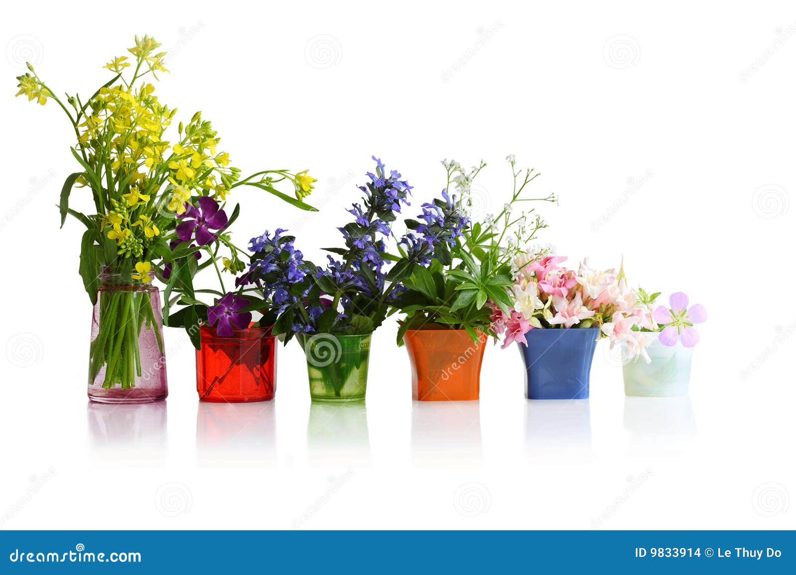 Row of Flowers stock photo. Image of foliage, green, flower - 9833914
