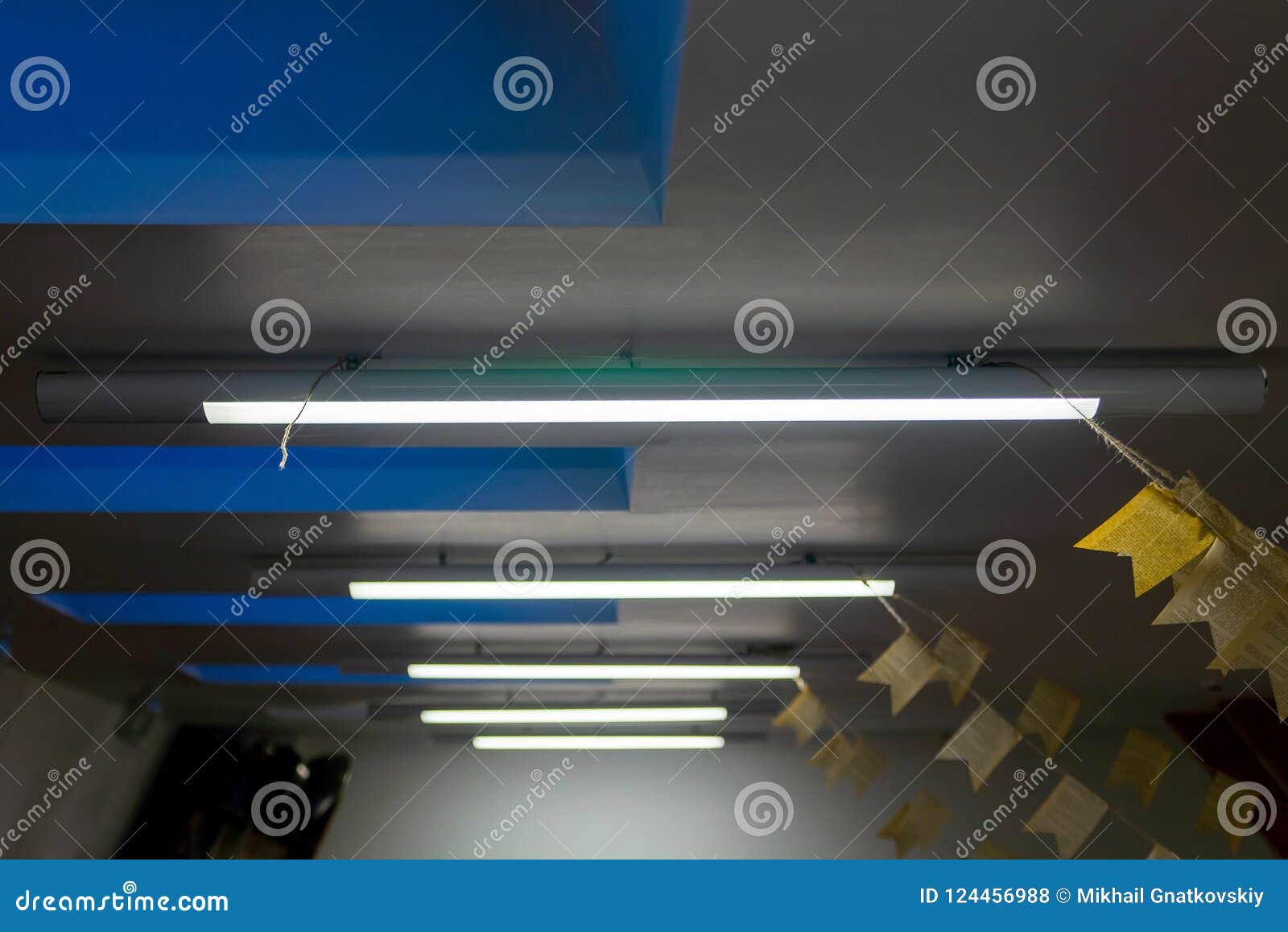 Row of Fluorescent Lamps of Ceiling Stock Photo - Image of line ...