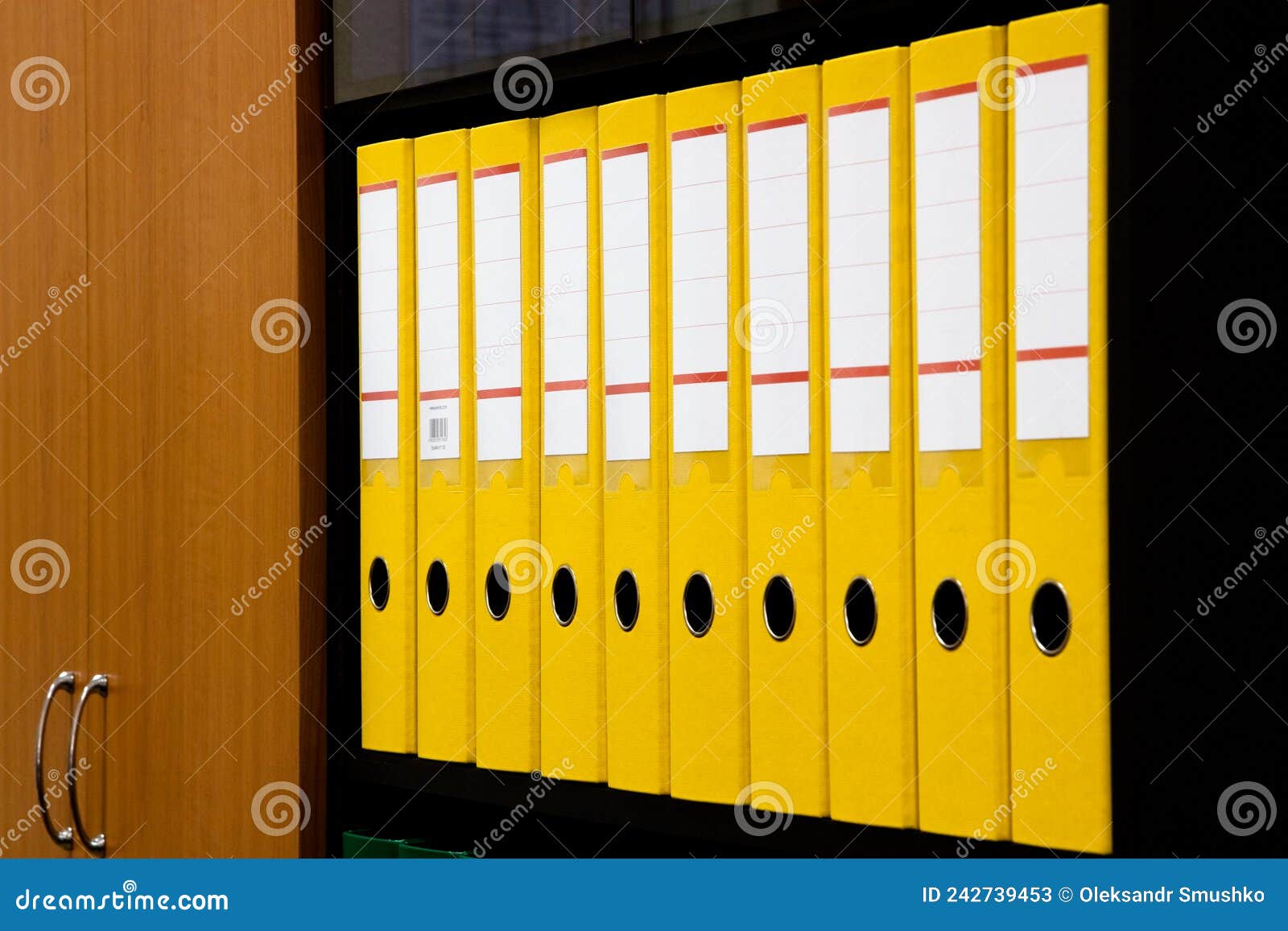 Row of Folders for Papers and Documentation on a Shelf in the Office ...