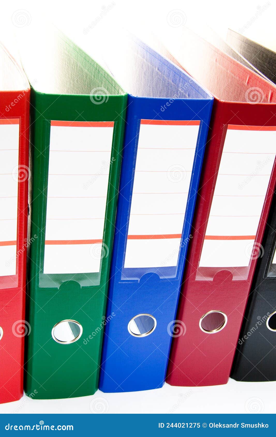 Row of Folders for Papers and Documentation on a Shelf in the Office ...