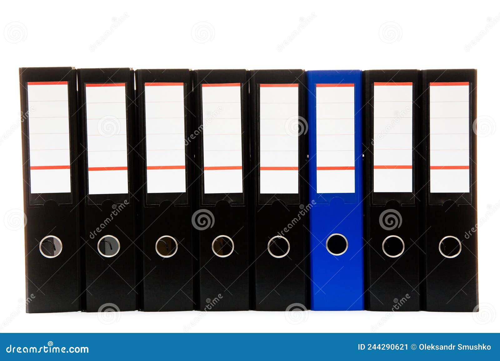 Row of Folders for Papers and Documentation on a Shelf in the Office ...