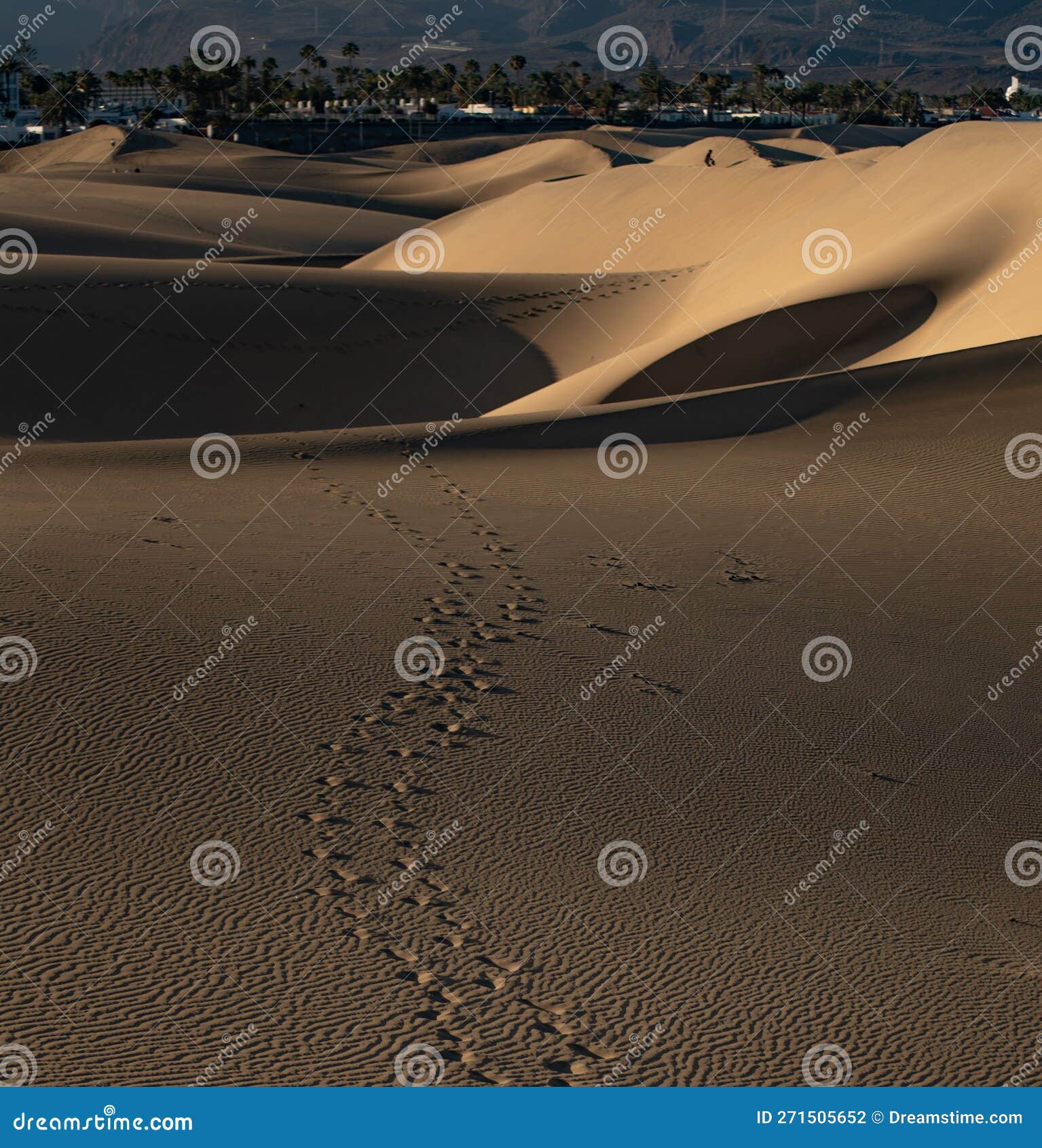 Row of Footprints on the Sandy Desert and a Majestic Mountain Range in ...