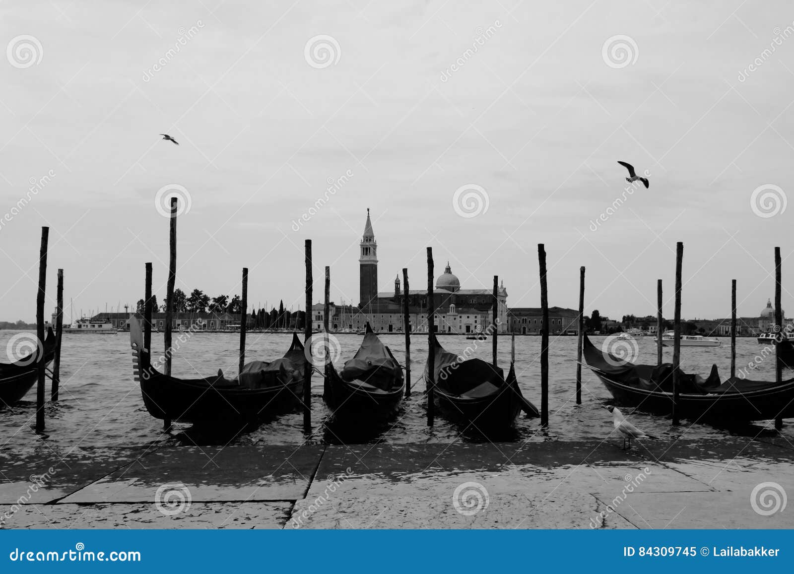 Row of Four Gondola`s with Birds in Venice, Italy Stock Image - Image ...