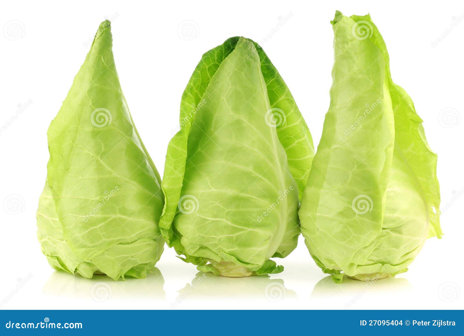 Row of Fresh Green Pointed Cabbages Stock Photo - Image of food ...