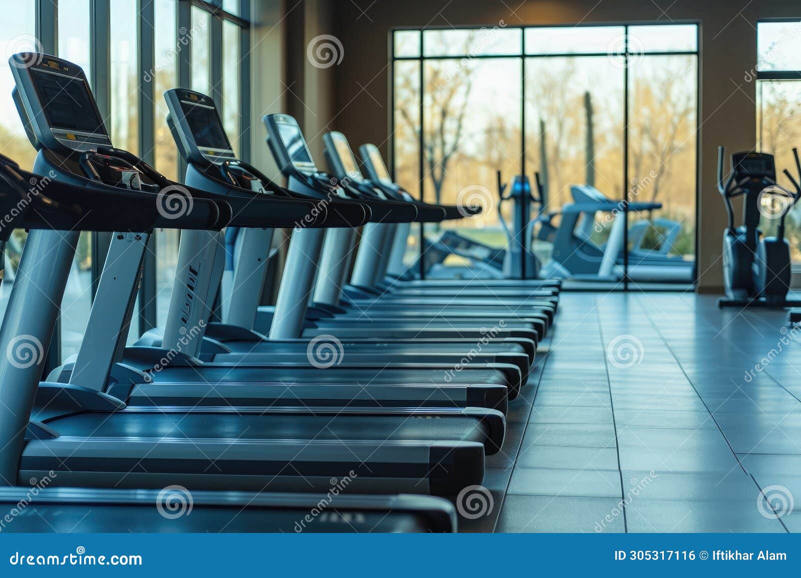 A Row of Functional Treadmills Lined Up Neatly in a Spacious and Well ...