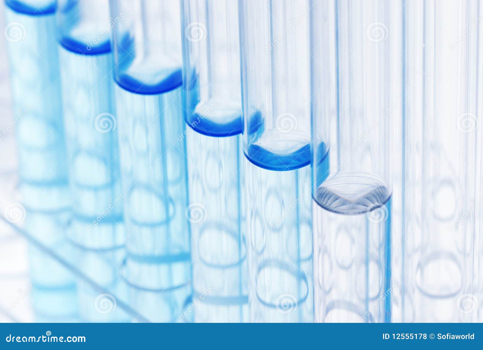 Row of Glass Tubes with Liquid on Test Tube Racks Stock Photo - Image ...
