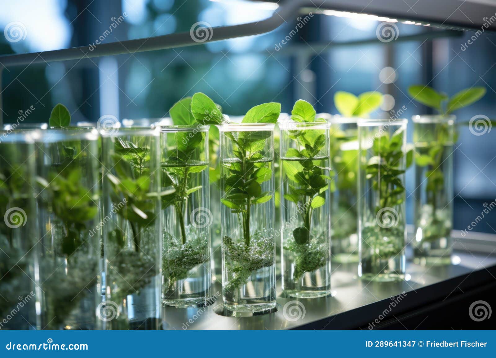 A Row of Glass Vases Filled with Plants. Stock Illustration ...