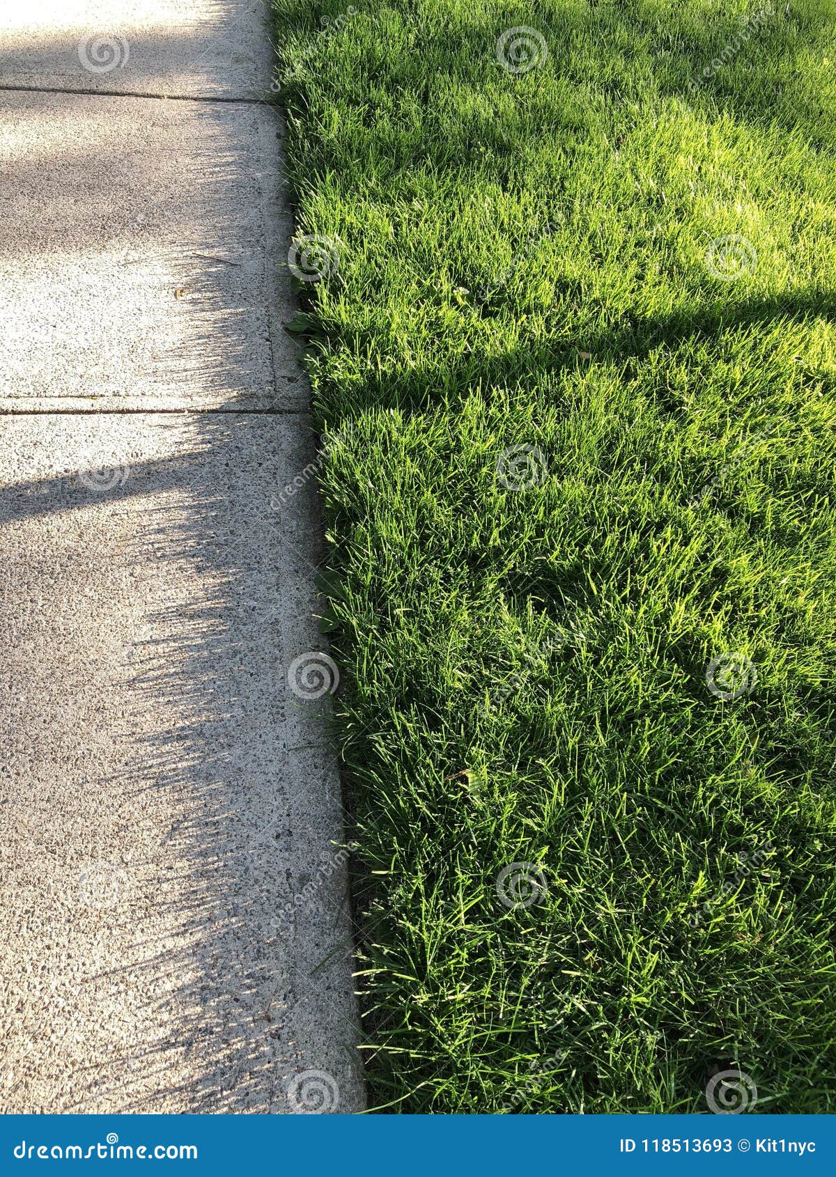Row of Grass Shadow stock image. Image of bushes, beautiful - 118513693
