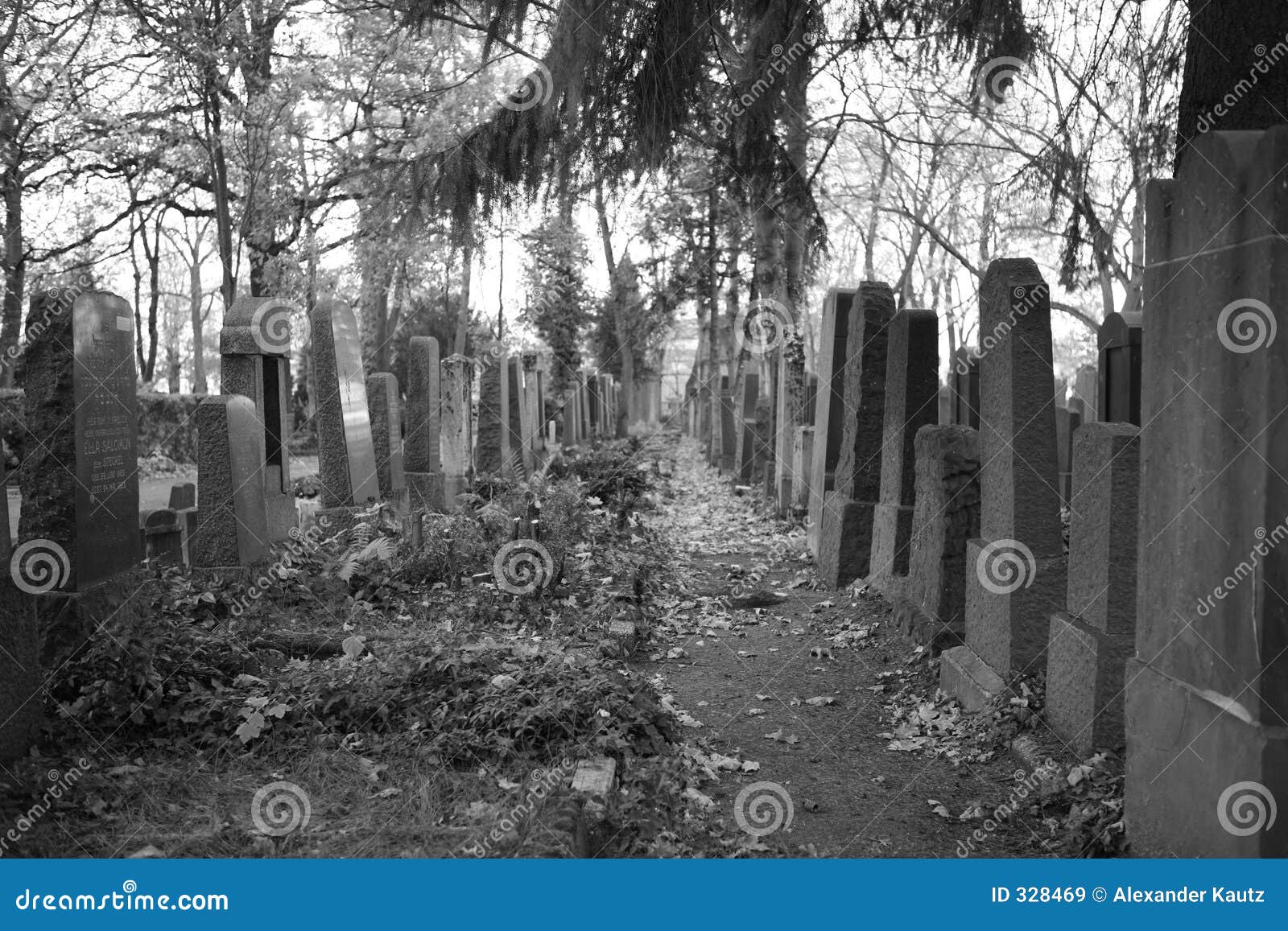 Row of Gravestones stock image. Image of cemetery, blackandwhite - 328469