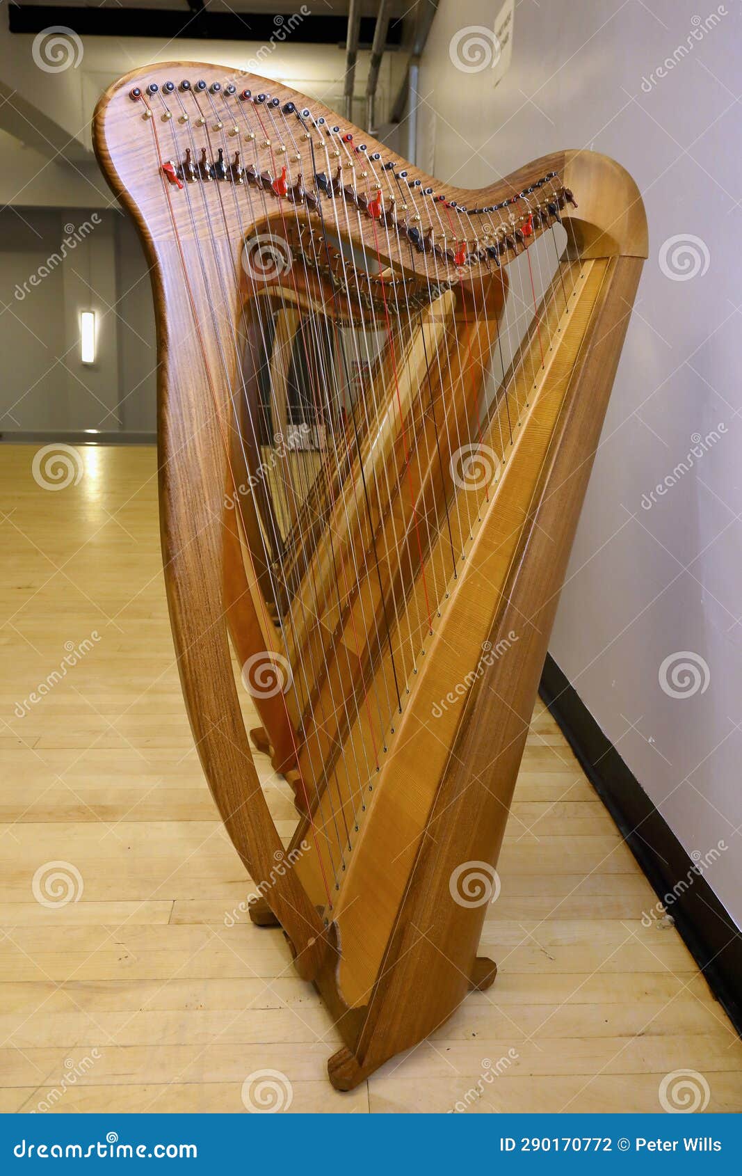 Row of Harps on the Wooden Floor Stock Photo - Image of close, tuneful ...