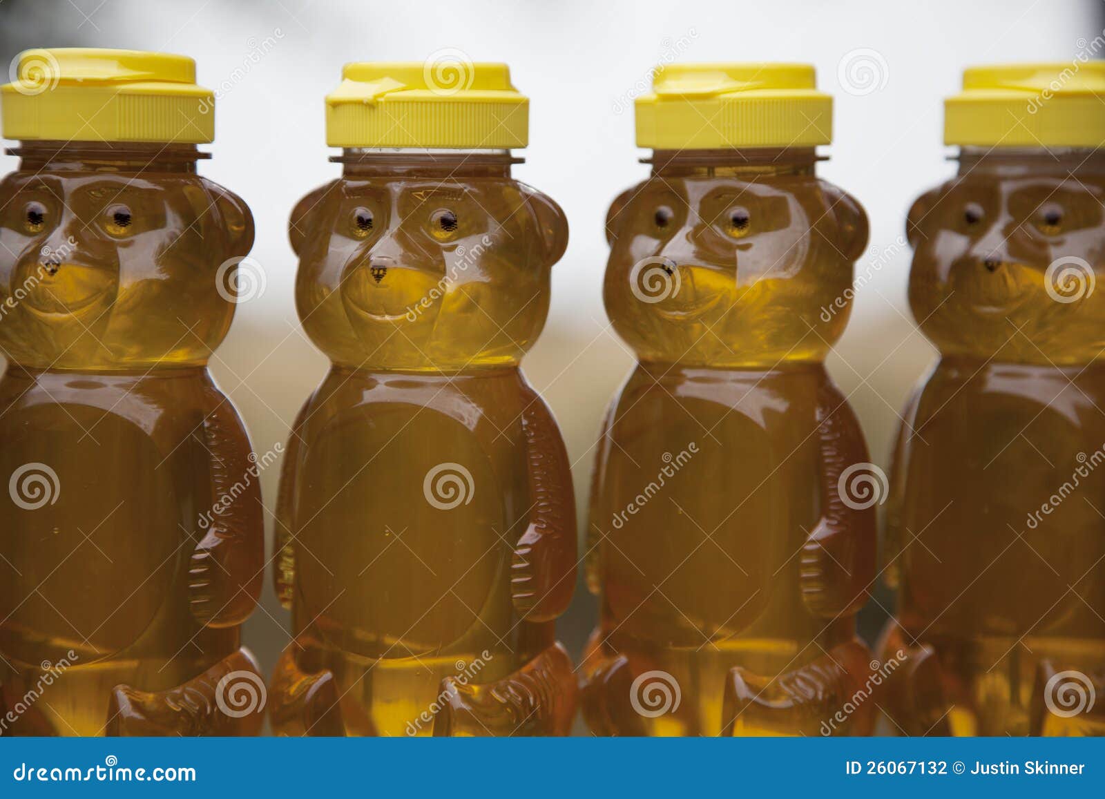 Row of Honey Bears stock photo. Image of nectar, bear - 26067132
