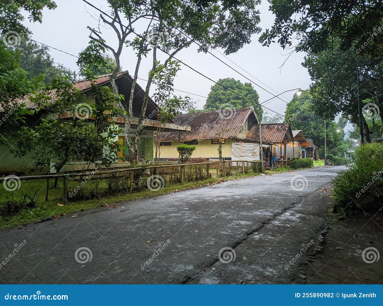 Row of Houses Located on the Side of the Road Stock Photo - Image of ...
