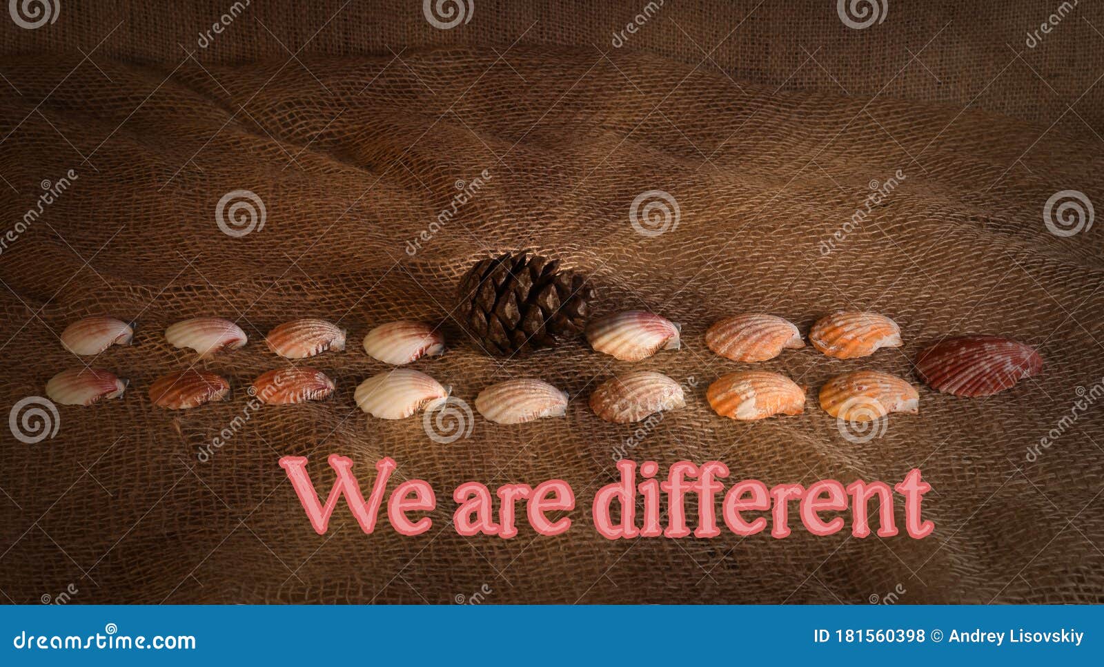 A Row of Identical Shells and a Pine Cone Different from Them. Stock ...