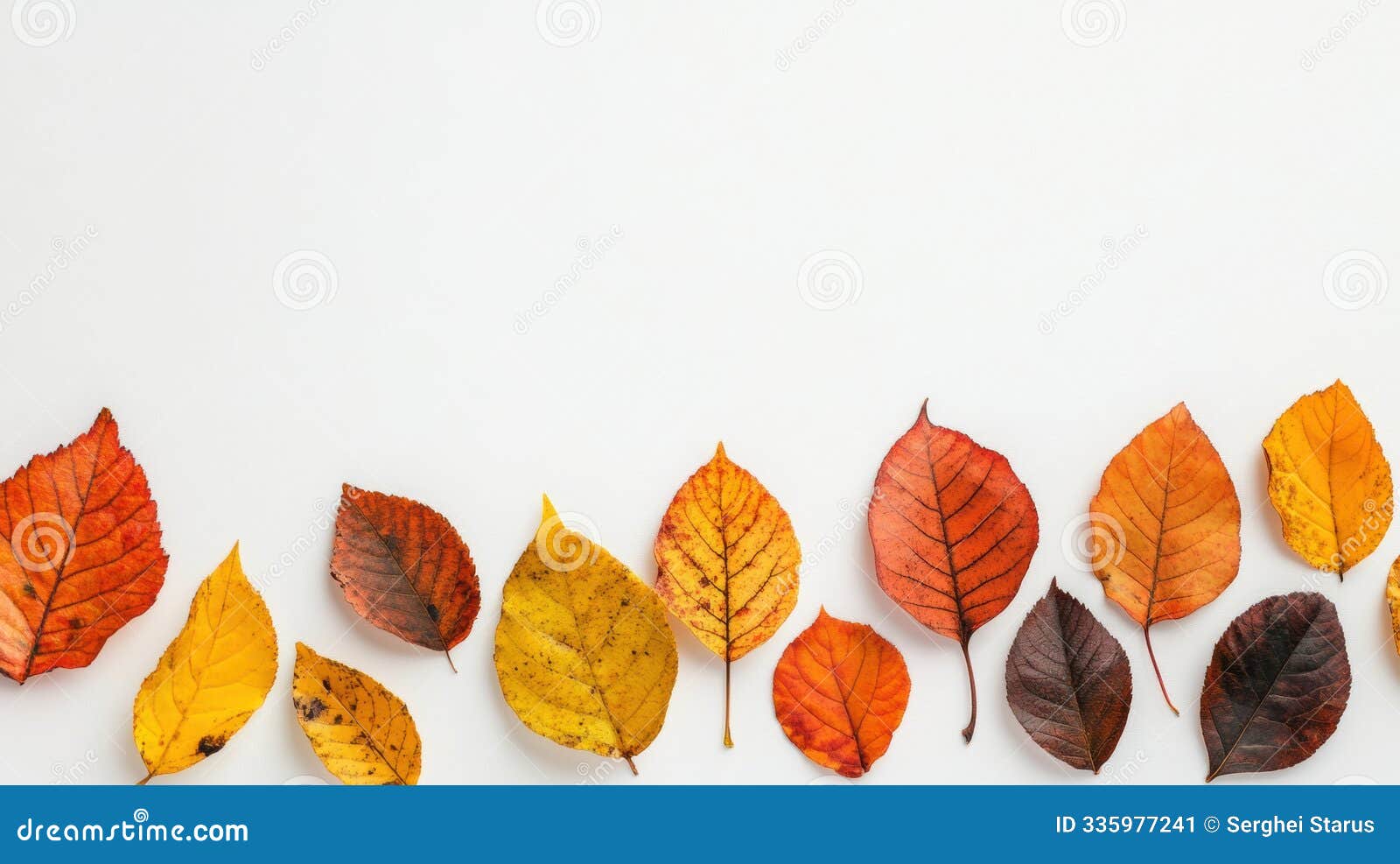 A Row of Leaves on a White Background with One Leaf in the Middle, AI ...