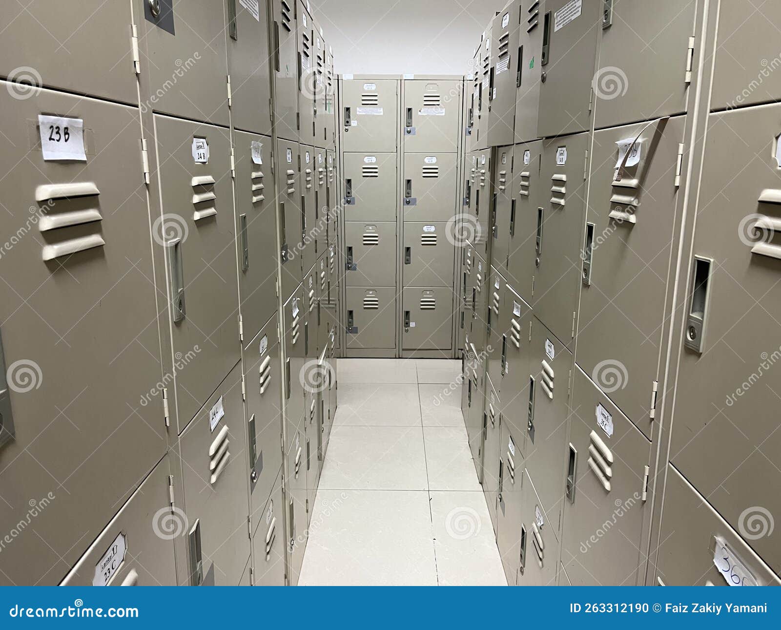 Row of Locker for Storage in a Library. Stock Photo - Image of room ...