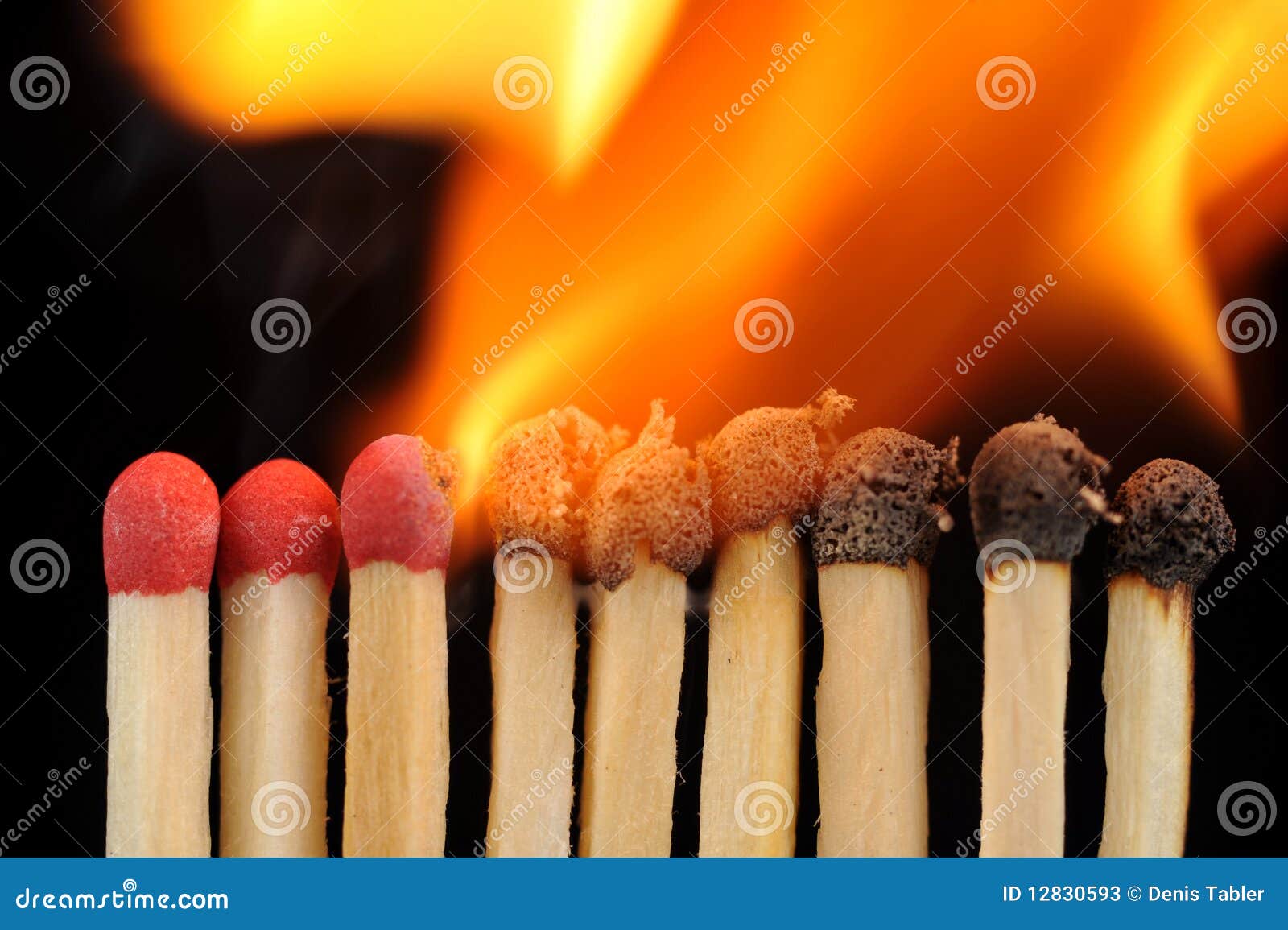 Row of matches stock image. Image of power, bright, close - 12830593