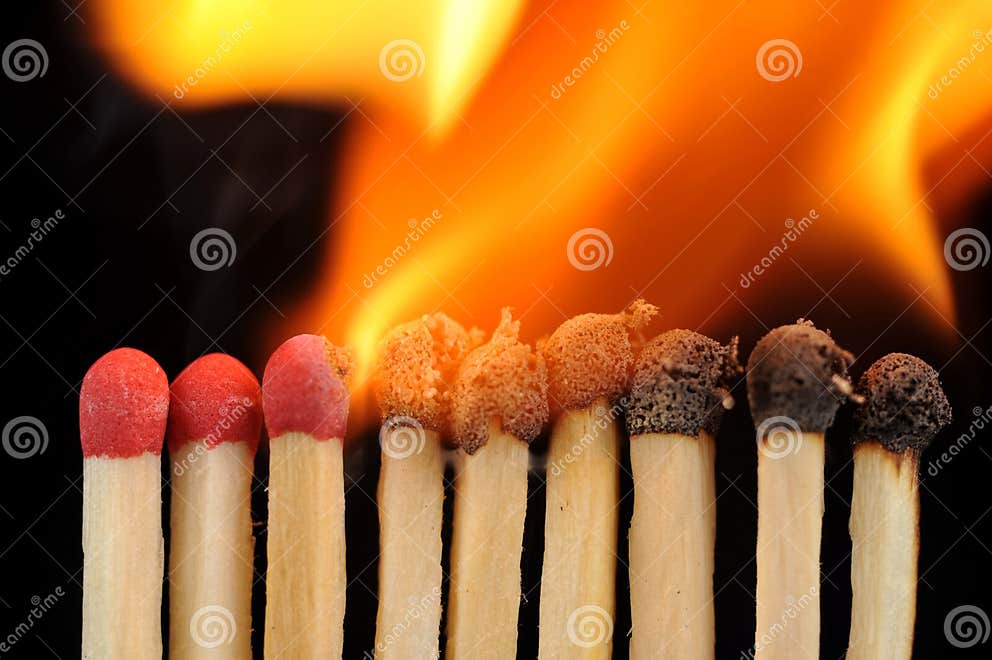 Row of matches stock image. Image of power, bright, close - 12830593