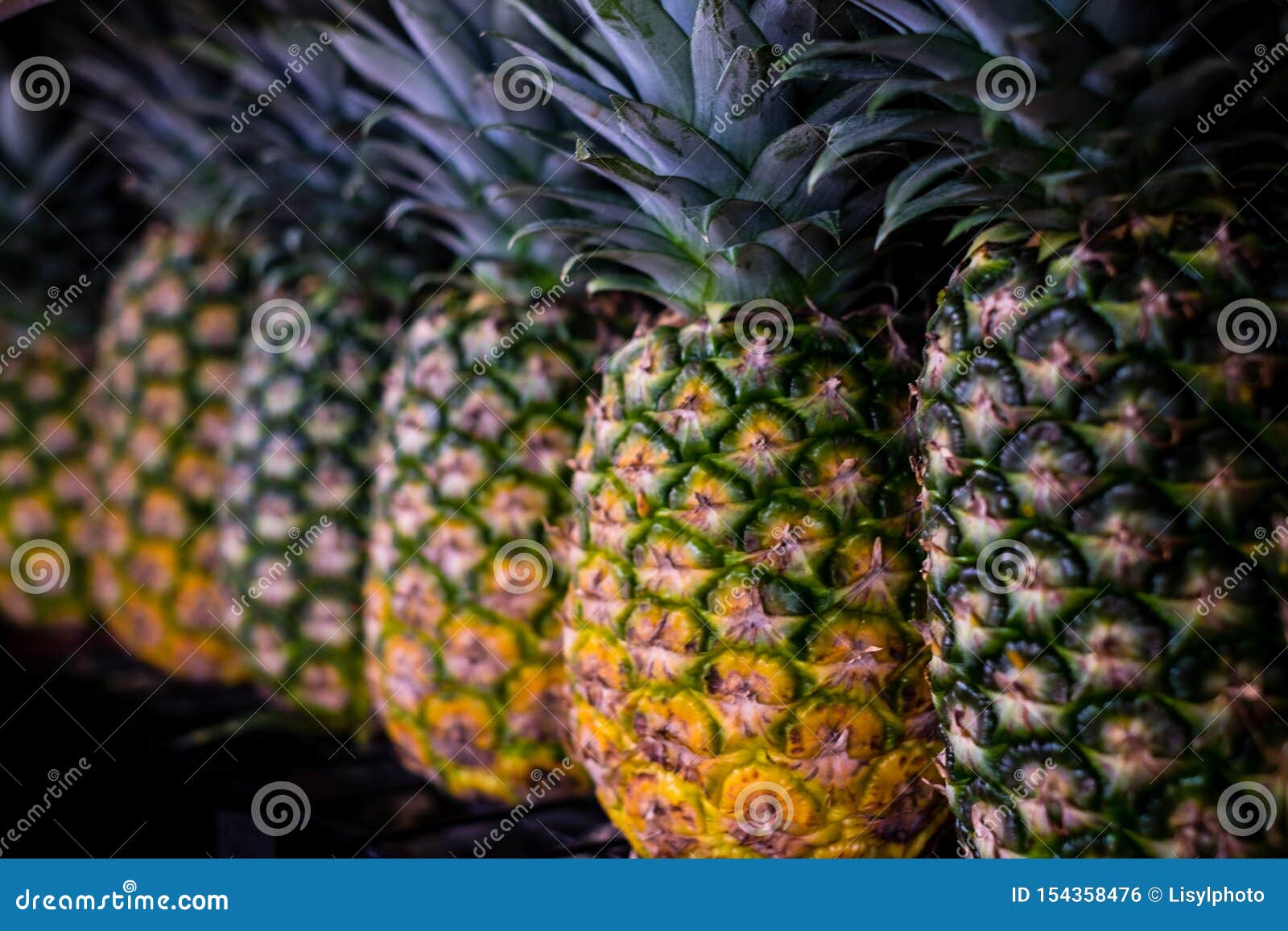 Row of MG3 Variety Pineapple Fruit Stock Photo - Image of crown ...