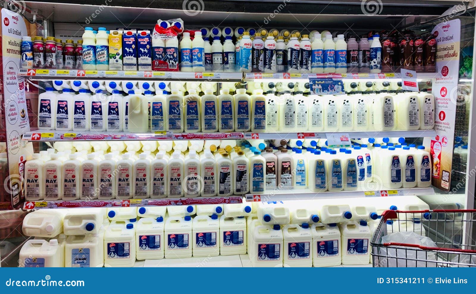 A Row of Milk Cartons are on a Shelf in a Store Editorial Photo - Image ...
