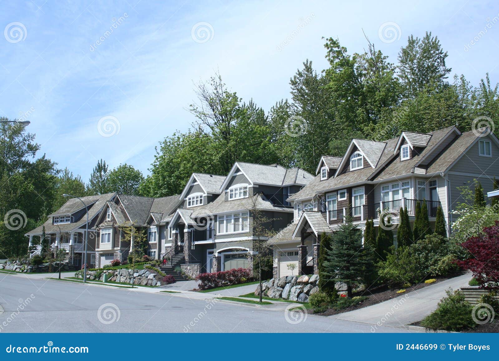 Row of modern homes stock image. Image of nature, summer - 2446699