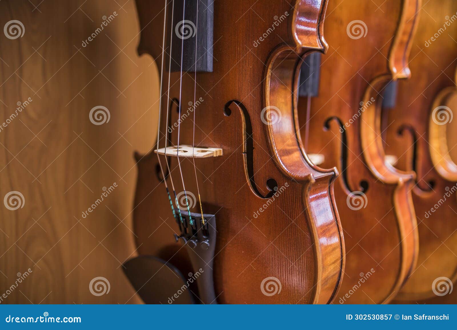 Row of Multiple Violins Hanging on the Wall, Musician Workshop Stock ...