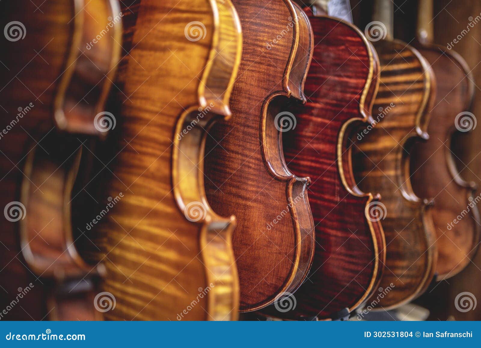 Row of Multiple Violins Hanging on the Wall, Musician Workshop Stock ...