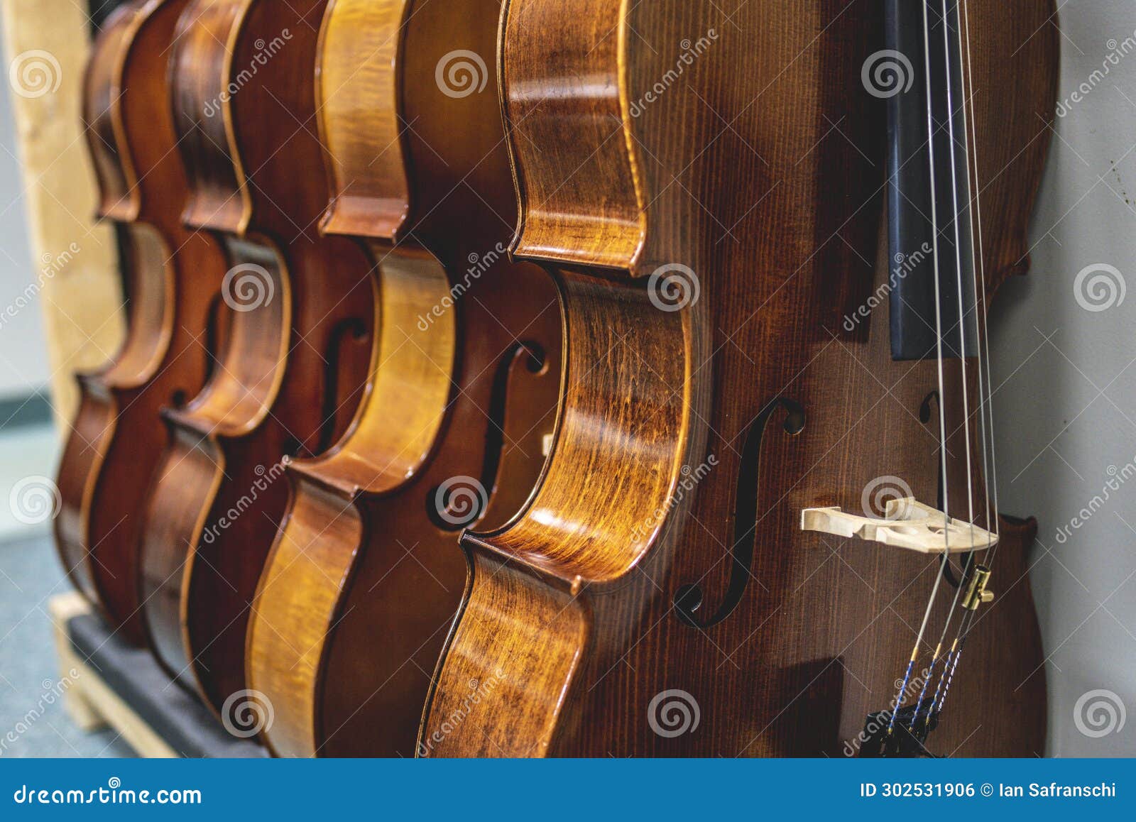 Row of Multiple Violins Hanging on the Wall, Musician Workshop Stock ...