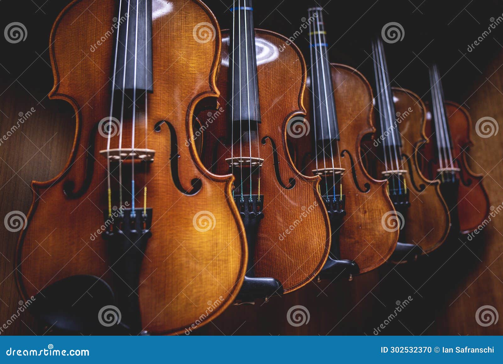 Row of Multiple Violins Hanging on the Wall, Musician Workshop Stock ...
