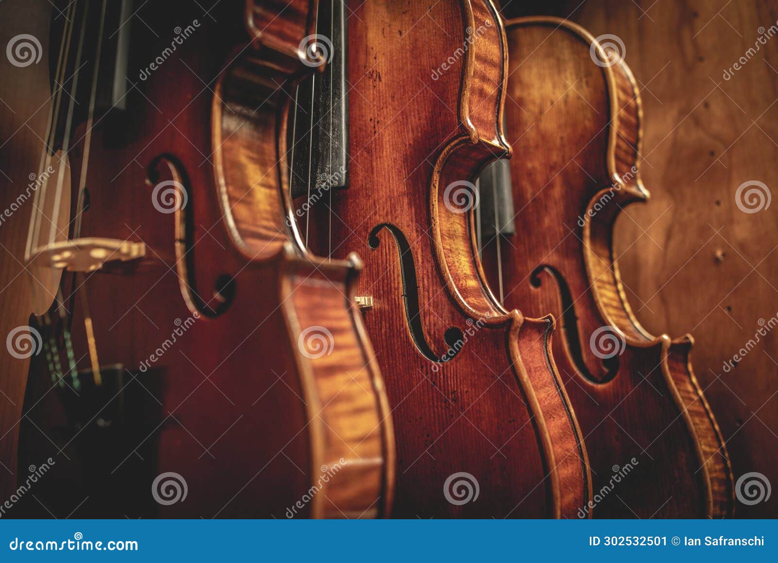Row of Multiple Violins Hanging on the Wall, Musician Workshop Stock ...
