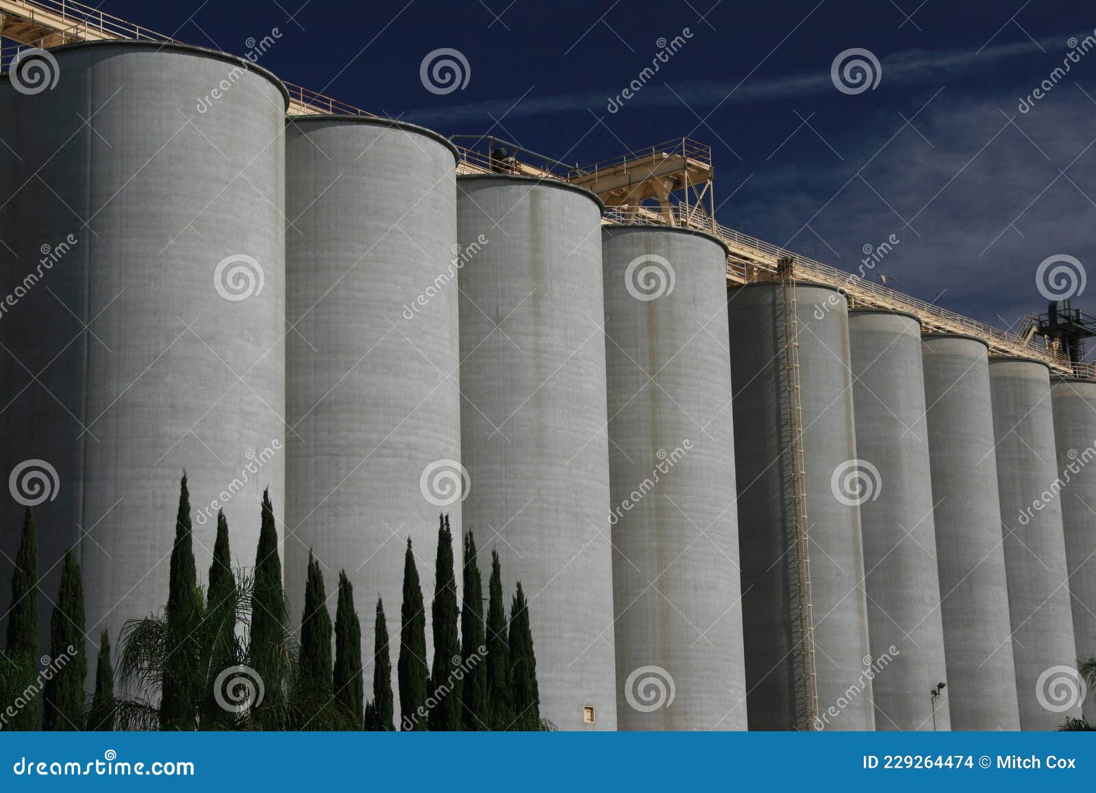 Nine Silos stock photo. Image of agriculture, grain - 229264474