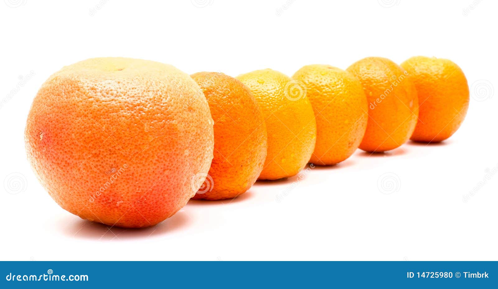 Row of oranges stock photo. Image of healthy, fresh, grapefruit - 14725980
