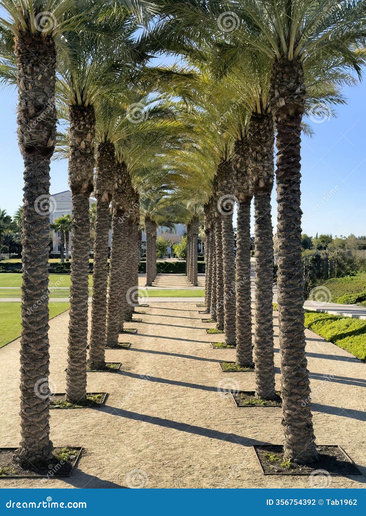 Arch Pathway Royalty-Free Stock Image | CartoonDealer.com #25179052