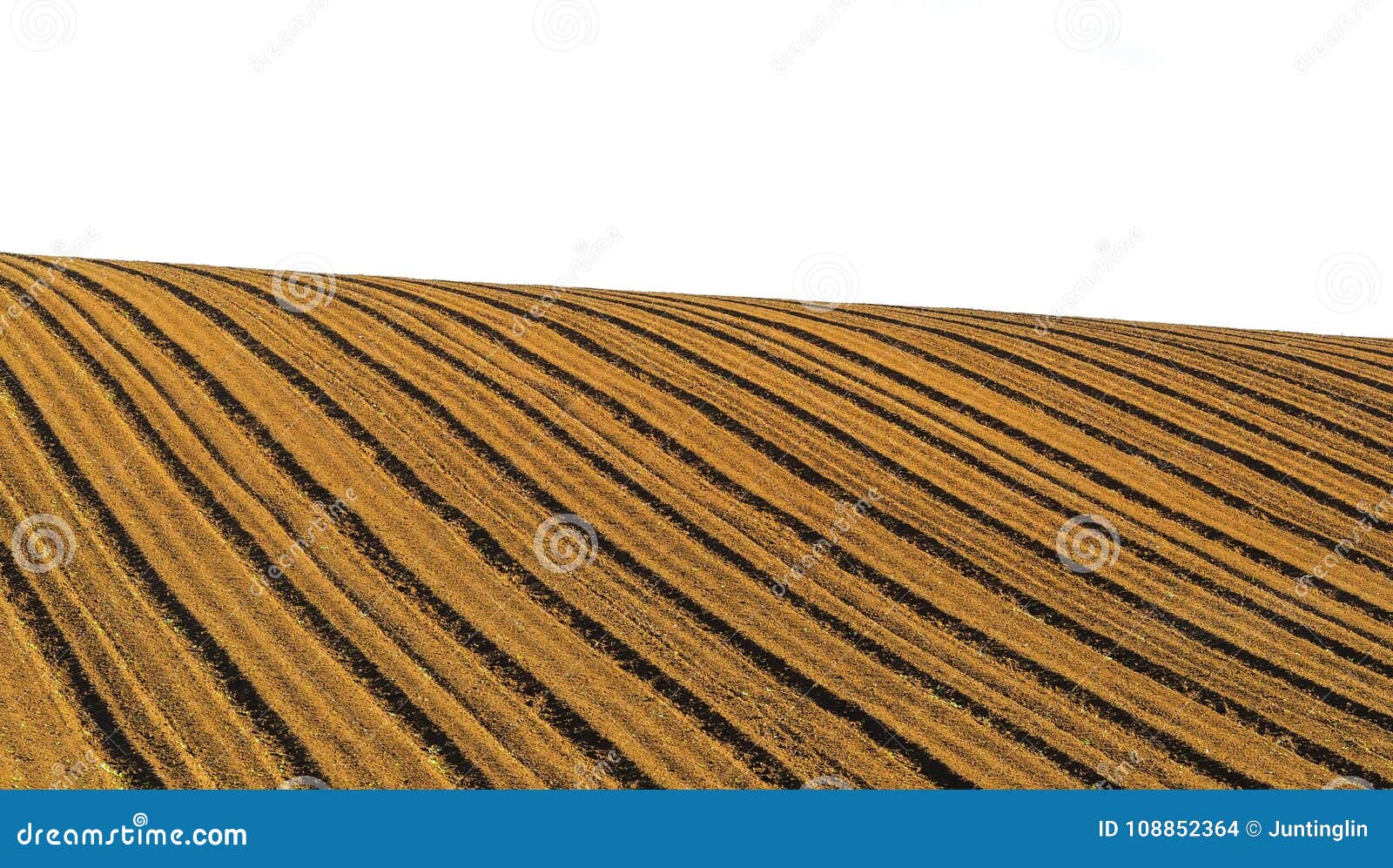 Row Pattern in Plowed Field Stock Photo - Image of farming, harvester ...