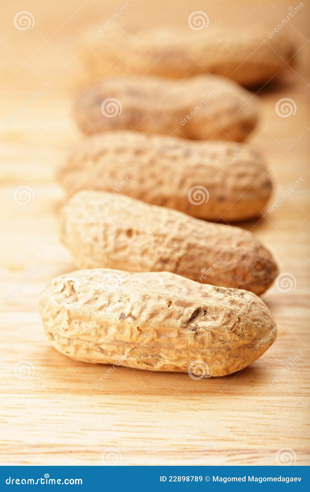 Row of peanuts in shells stock image. Image of peanut - 22898789