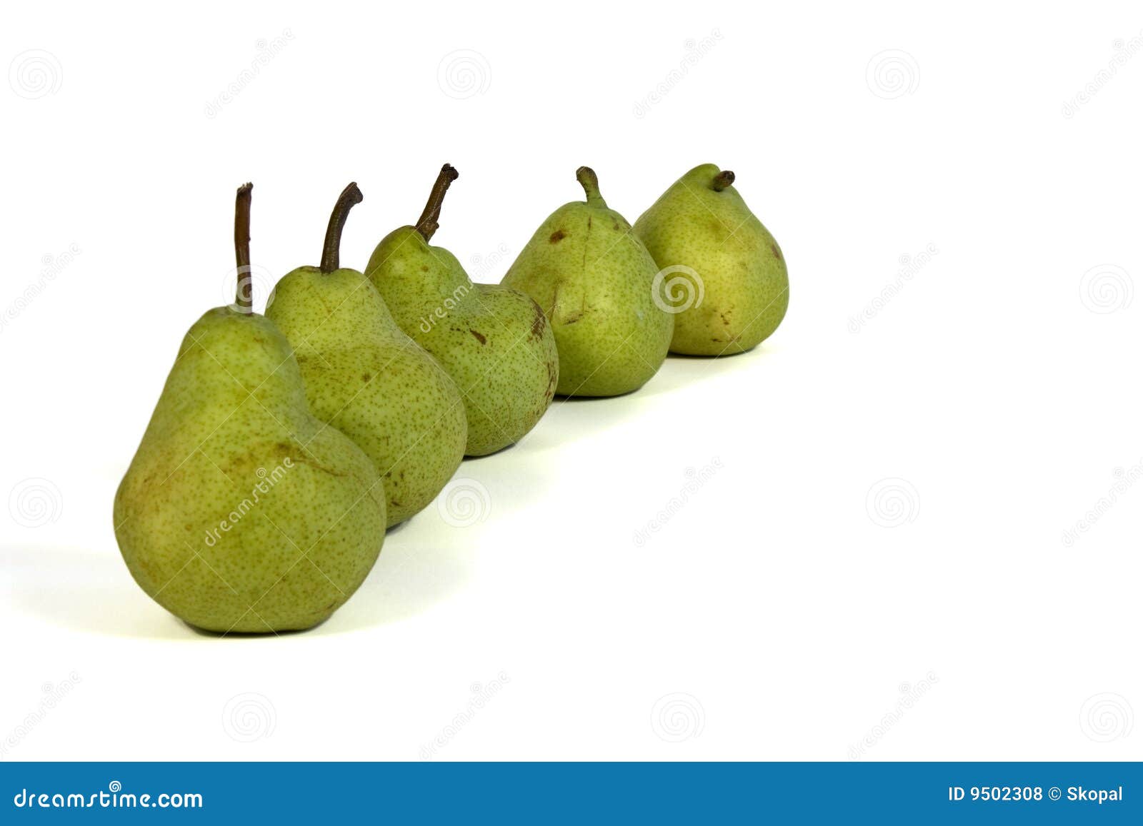 Row of pears stock photo. Image of fruit, curve, healthy - 9502308