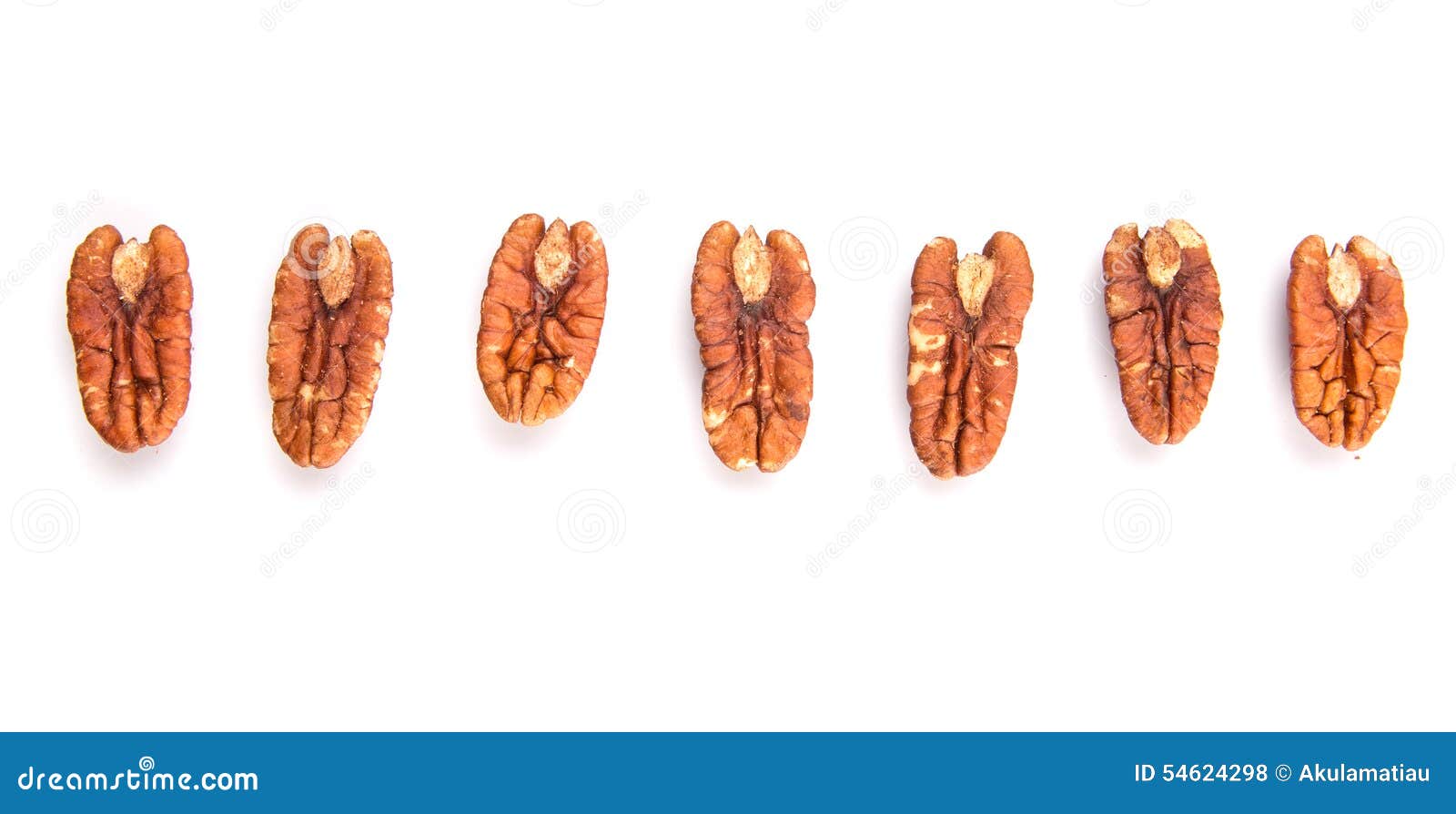 A Row of Pecan Nut III stock photo. Image of agriculture - 54624298