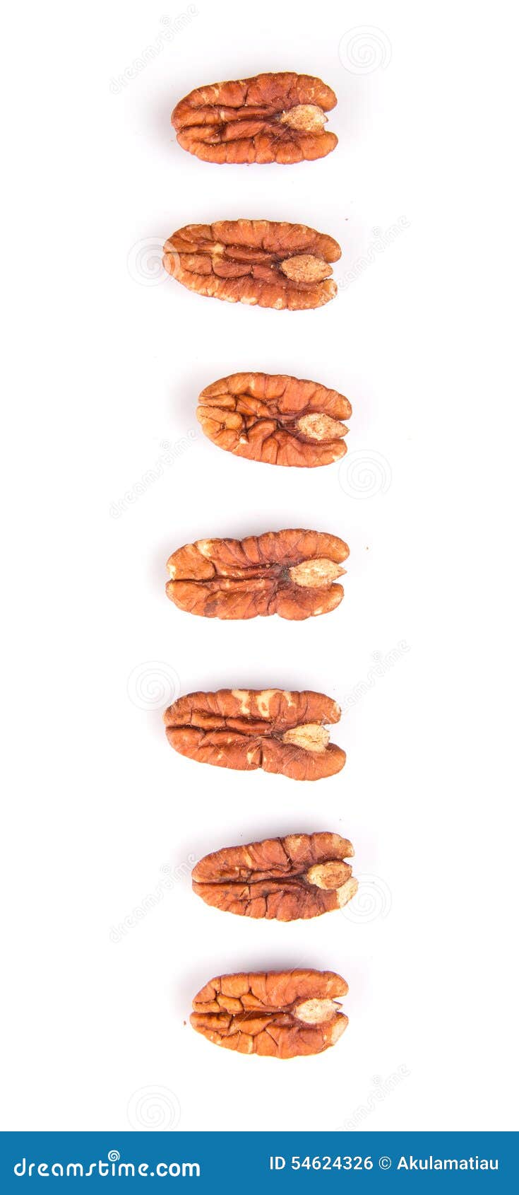 A Row of Pecan Nut IV stock photo. Image of crunch, healthy - 54624326