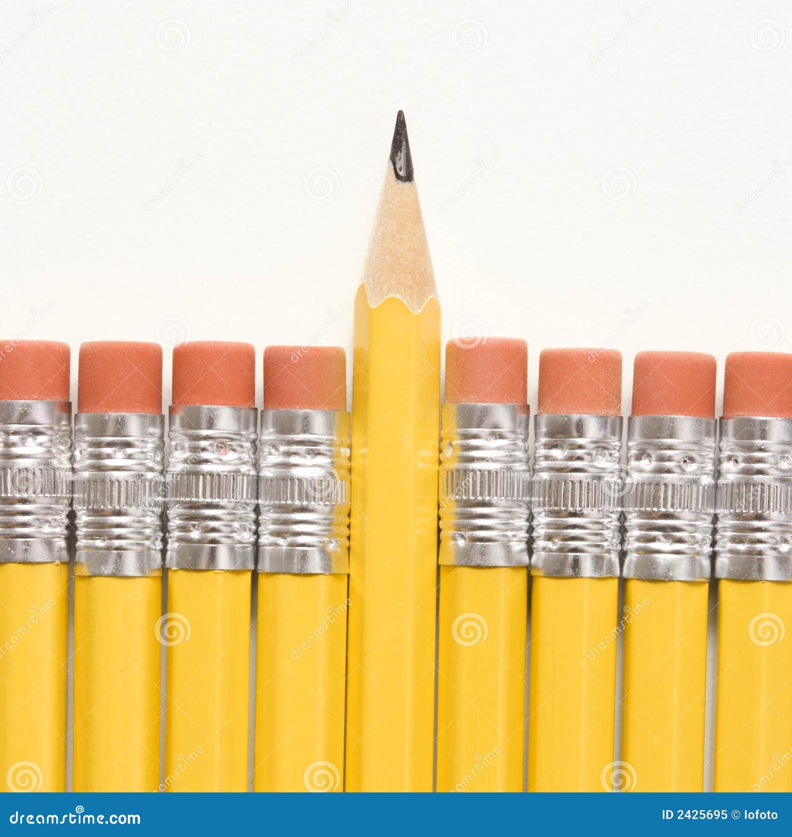 Row of pencils. stock image. Image of business, 070119m0118 - 2425695