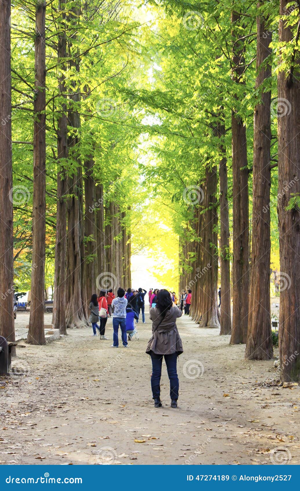 NAMI ISLAND - Summer 2019 Editorial Photo | CartoonDealer.com #159165925