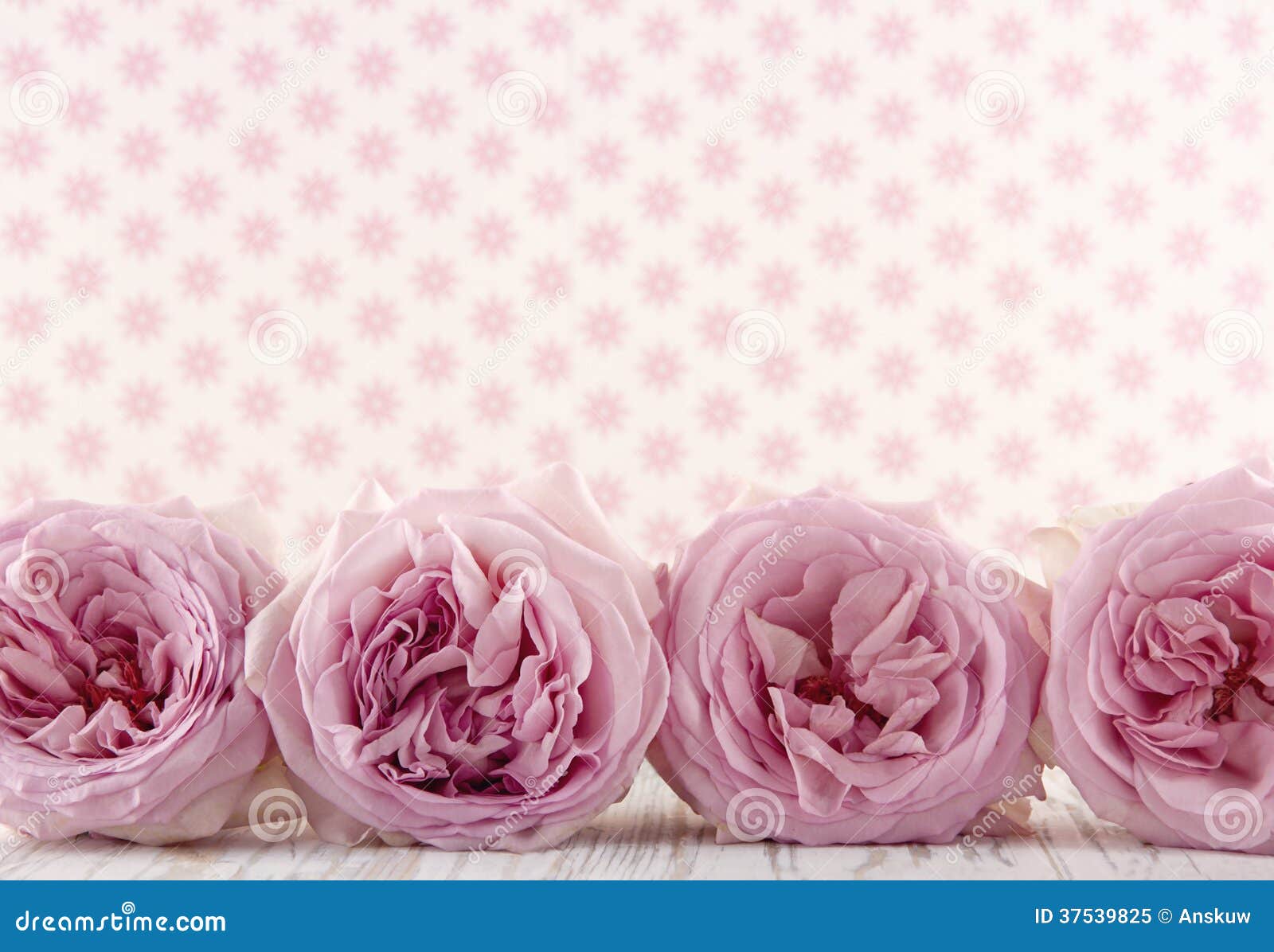Row of pink roses stock image. Image of background, antique - 37539825