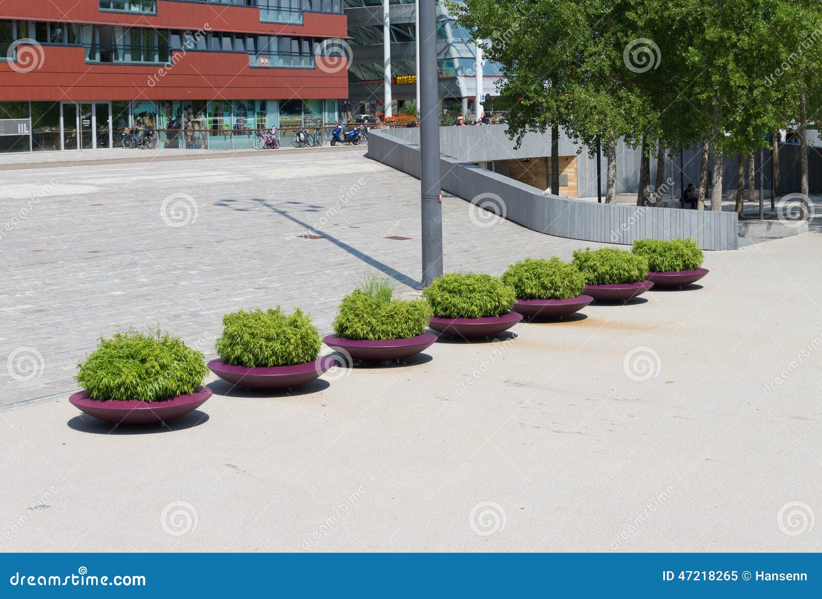 Row of planters editorial image. Image of vibrant, plant - 47218265