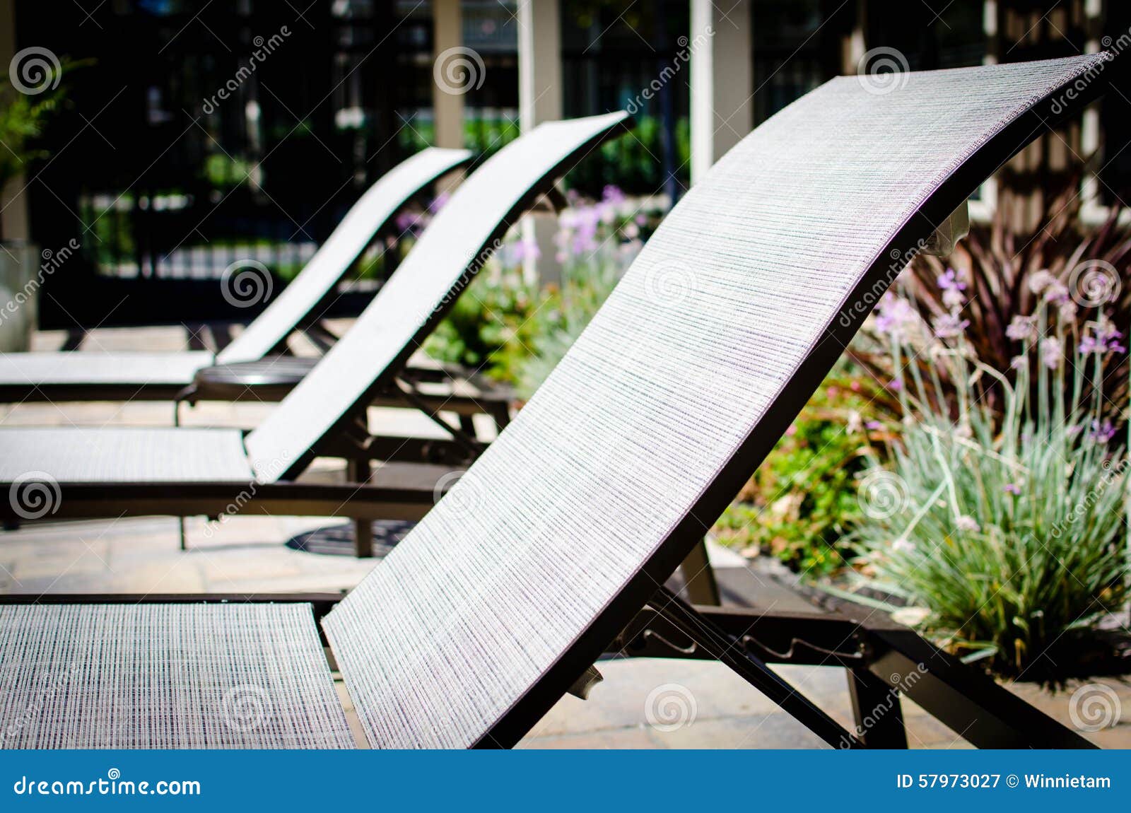Row of Poolside Lounge Chairs Stock Image - Image of tropical, deck ...