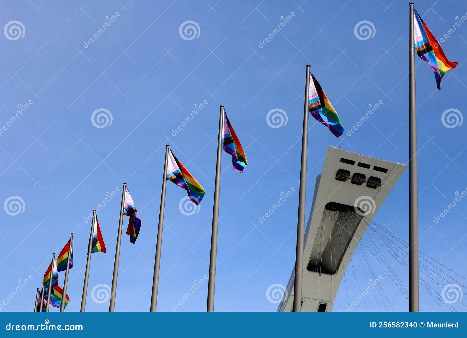 Row of Progress Pride flag stock photo. Image of additional - 256582340