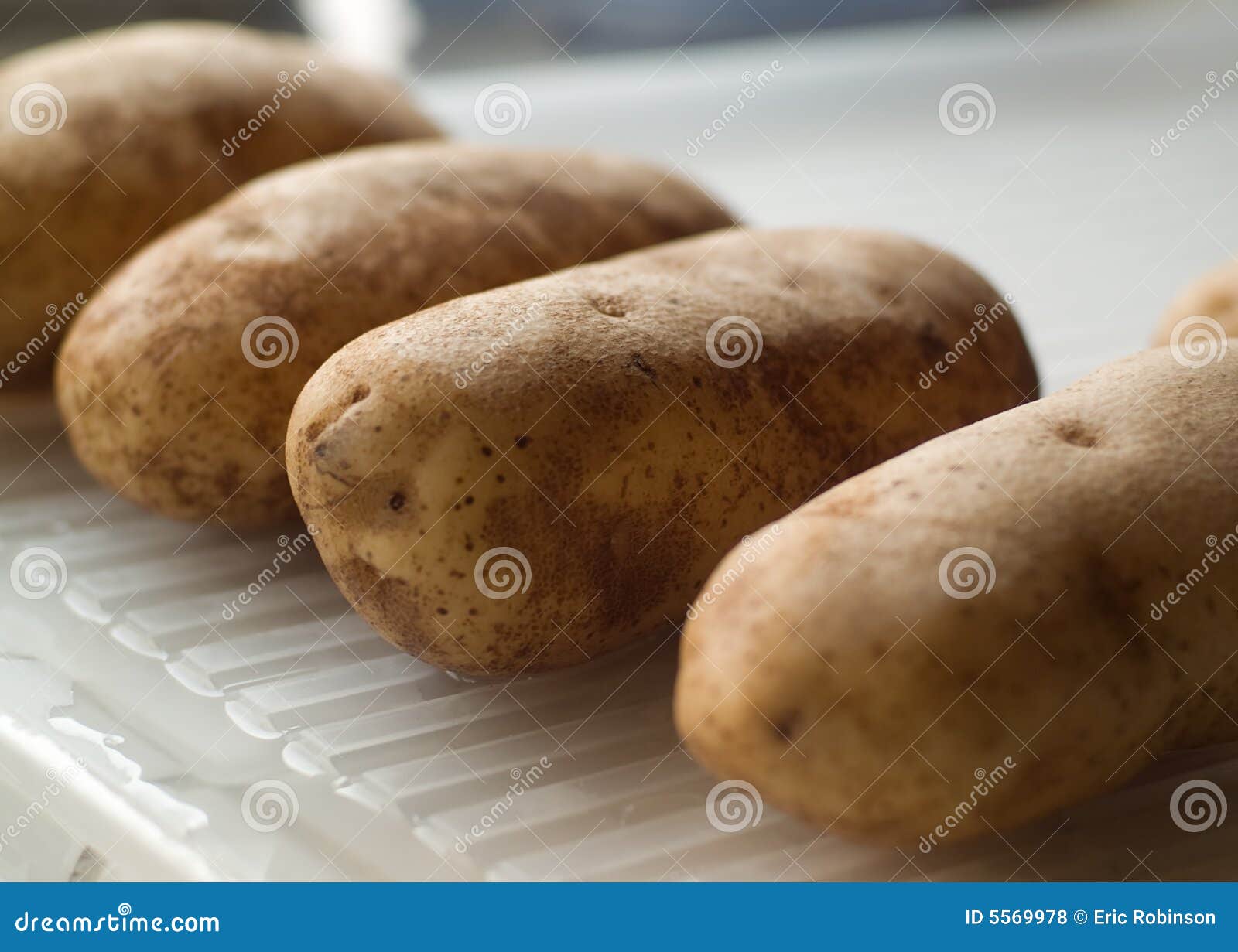 Row Raw Potatoes stock photo. Image of spud, baking, bake - 5569978