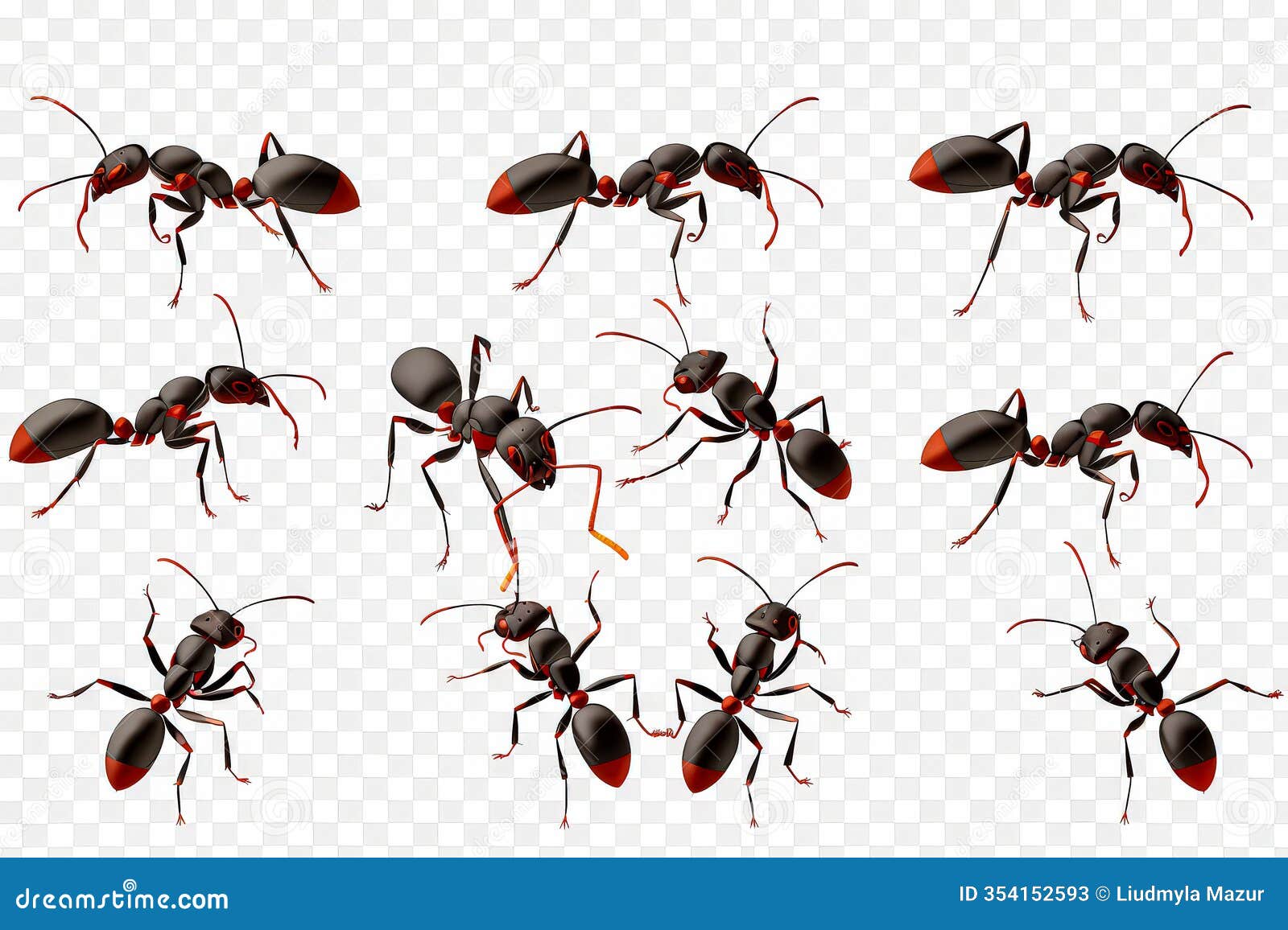 Row of Red Ants are Shown in a Row. Stock Image - Image of brown ...